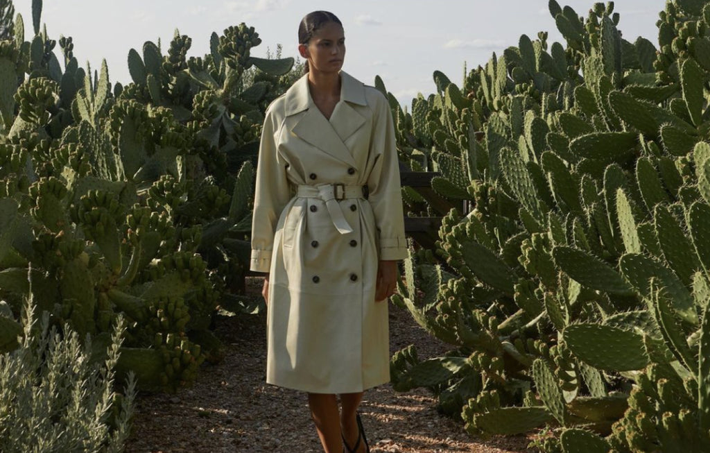 Yves Salomon – elysewalker