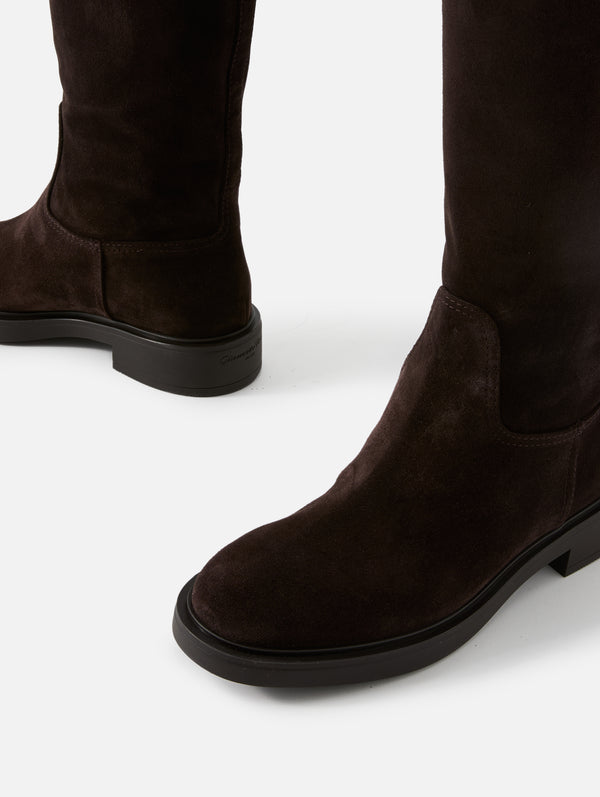 Elyse's Edit – elysewalker